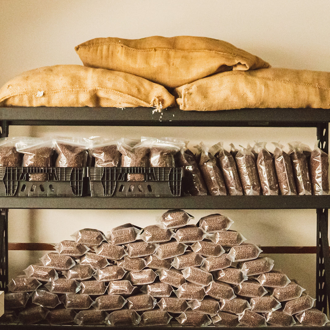 zoco brema coffee roasters – Zoco Brema Coffee Roasters