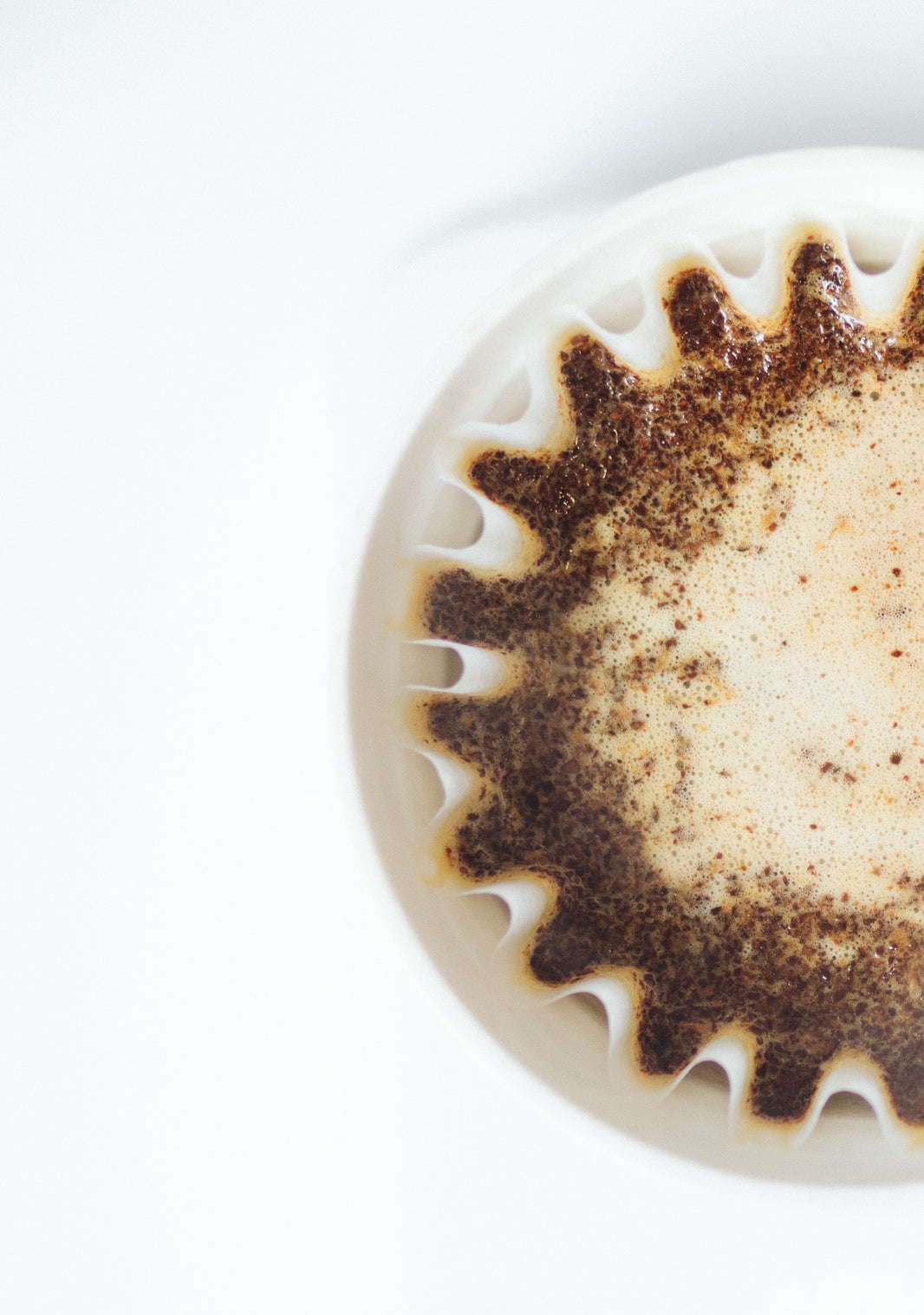 zoco brema coffee roasters – Zoco Brema Coffee Roasters