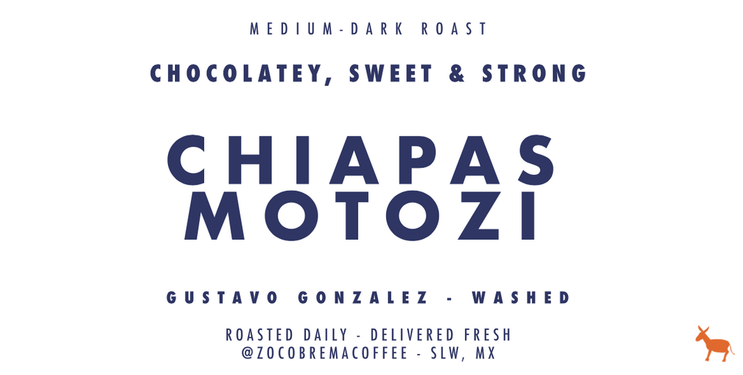 zoco brema coffee roasters – Zoco Brema Coffee Roasters