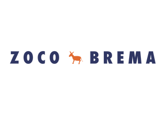 Chemex Classic – Zoco Brema Coffee Roasters